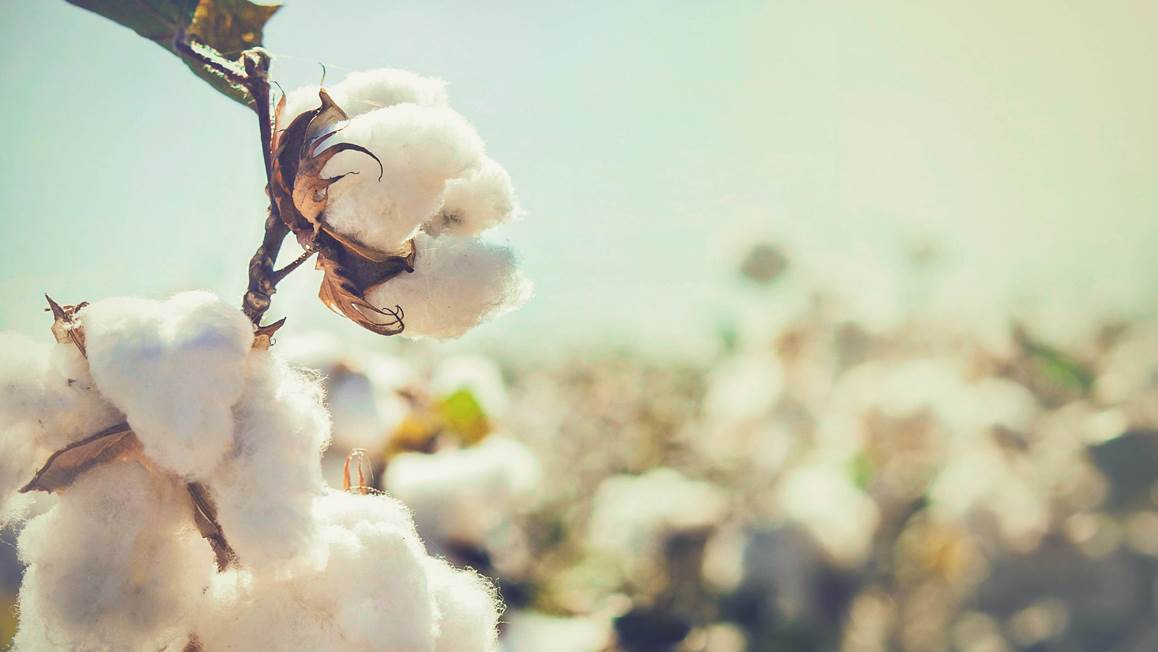 Linge de lit éco-responsable - Smulderstextiles.be